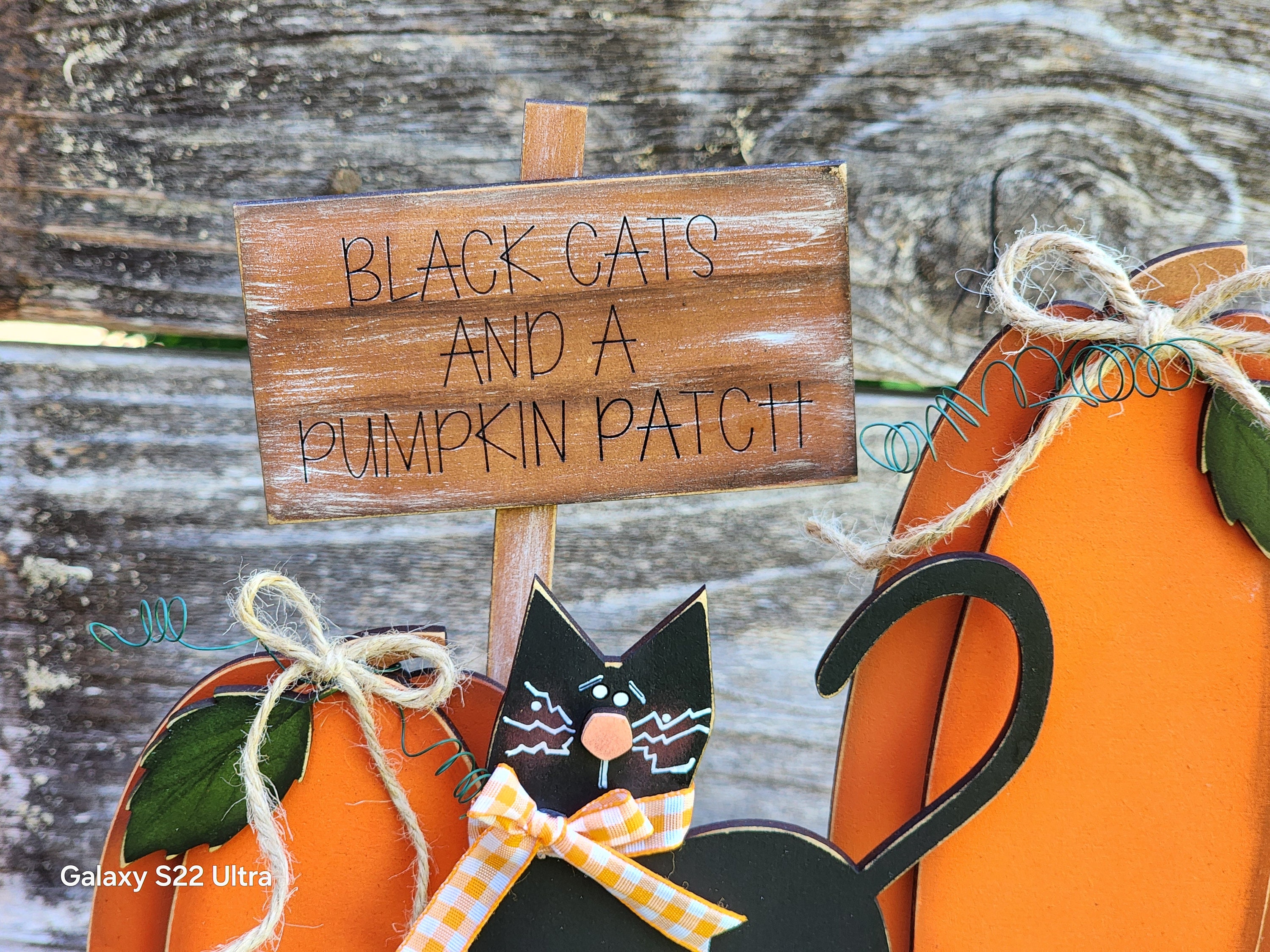 Black Cat Pumpkin Patch SVG, Halloween Laser Cut File - Etsy