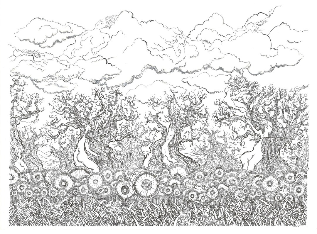 Hidden Things--fantasy Coloring Page Digital Download - Etsy