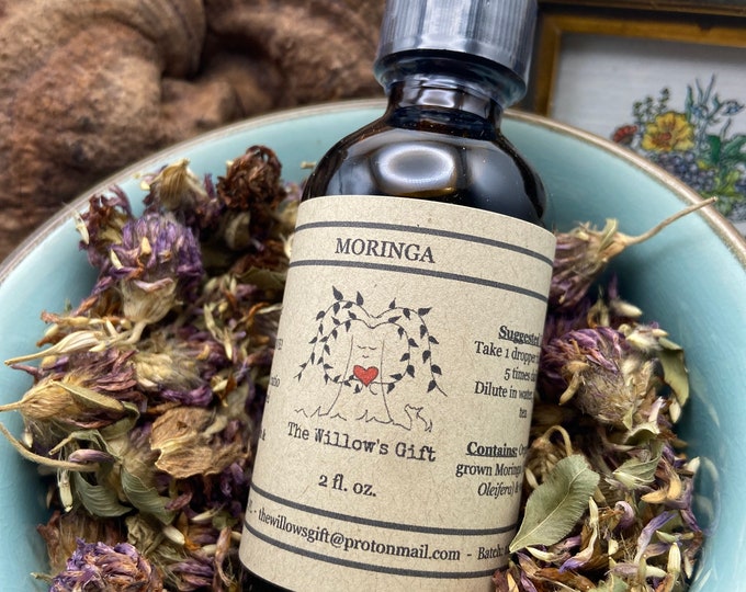 Moringa Tincture - Etsy