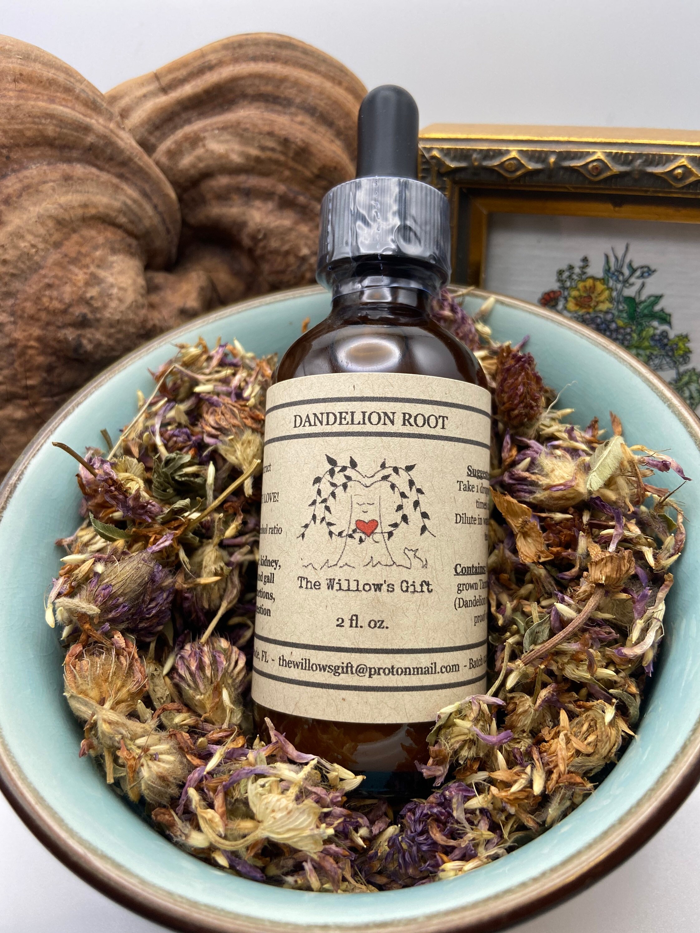Dandelion Root Tincture - Etsy