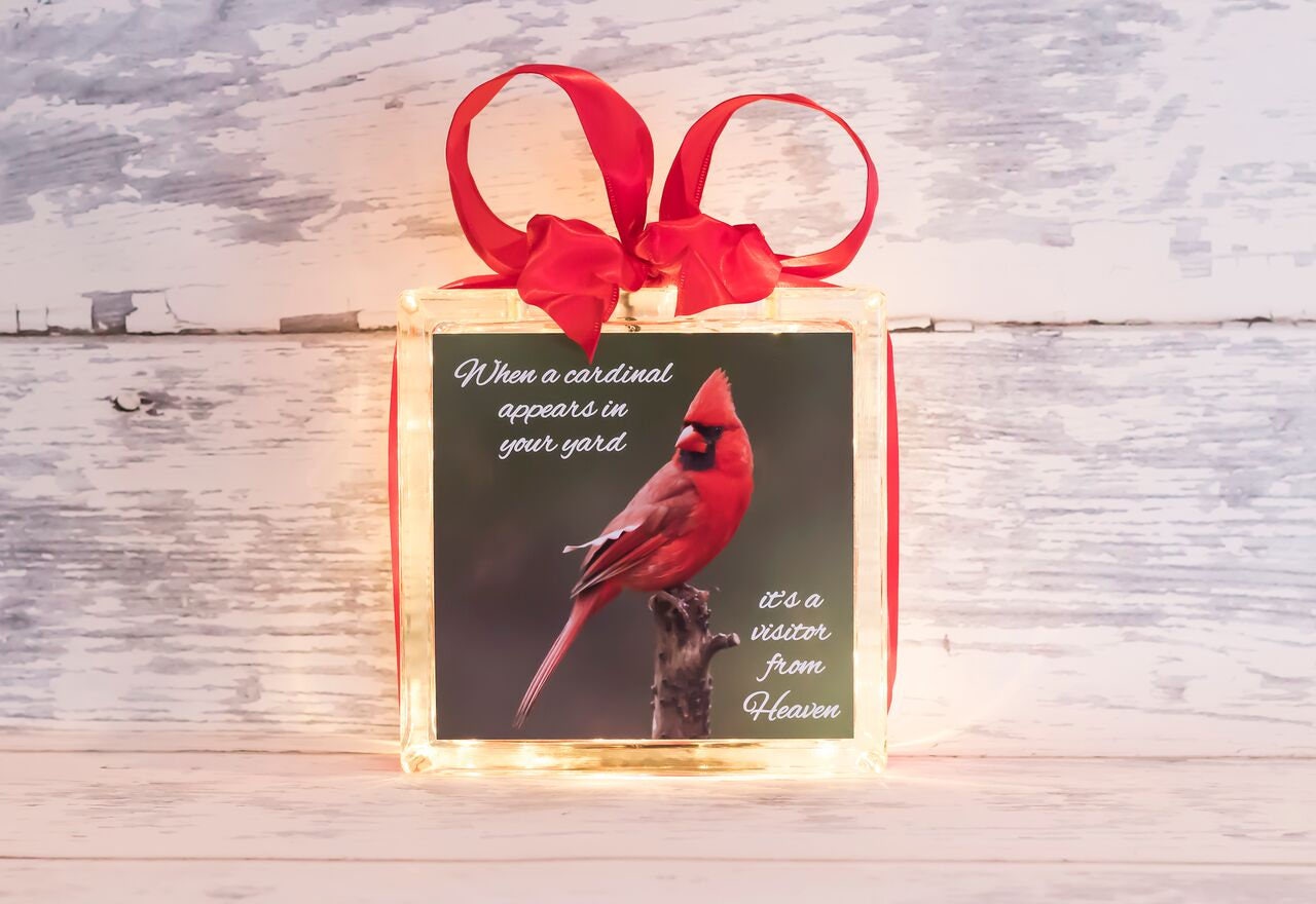 When a Cardinal Appears in Your Yard It's a Visitor From Heaven ...