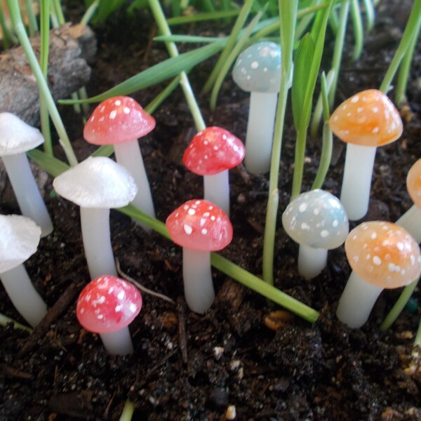 Fake Plant Terrarium - Etsy