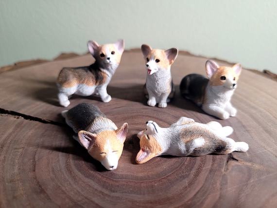 Miniature Welsh Corgi