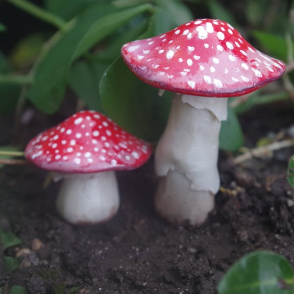 Toadstools - Etsy