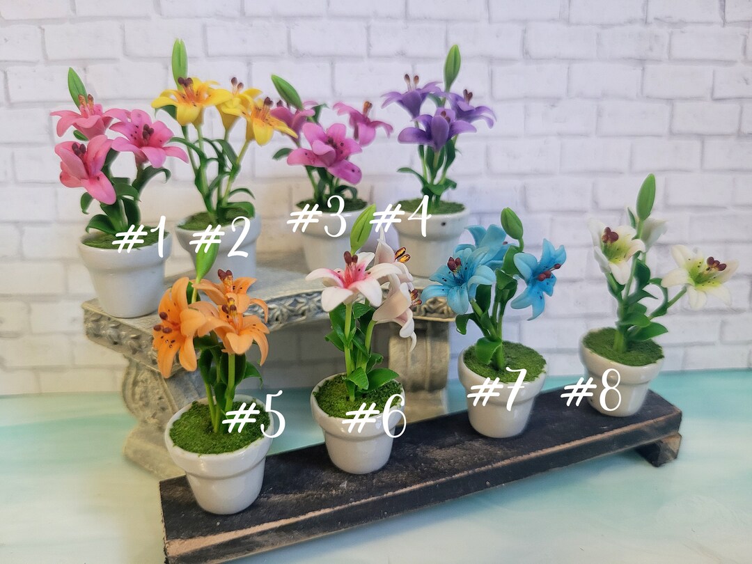 Lilies Miniature Flower| Plant | Fairy Garden Flowers | Miniature ...