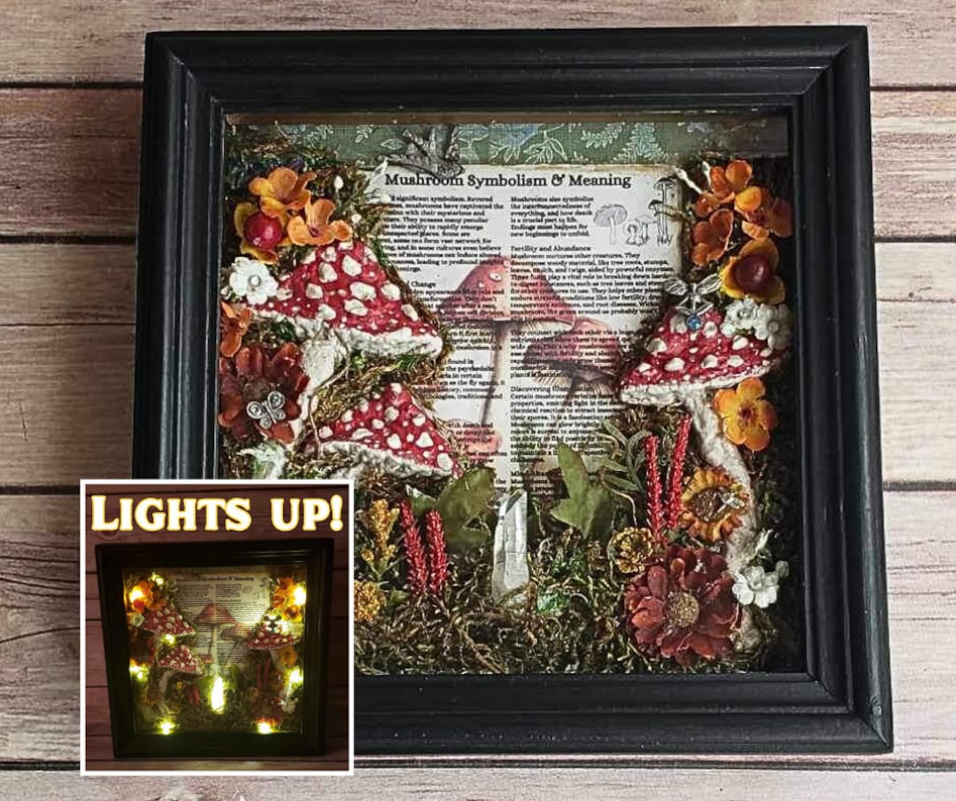 Illuminated Mushroom Shadow Box Mushroom Light Mixed Media Gallery Wall ...