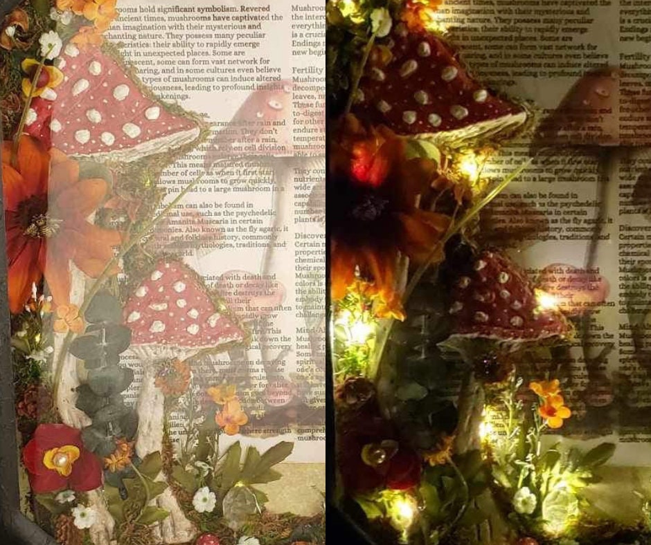 Illuminated Mushroom Shadow Box Mixed Media Gallery Wall Decor Art ...