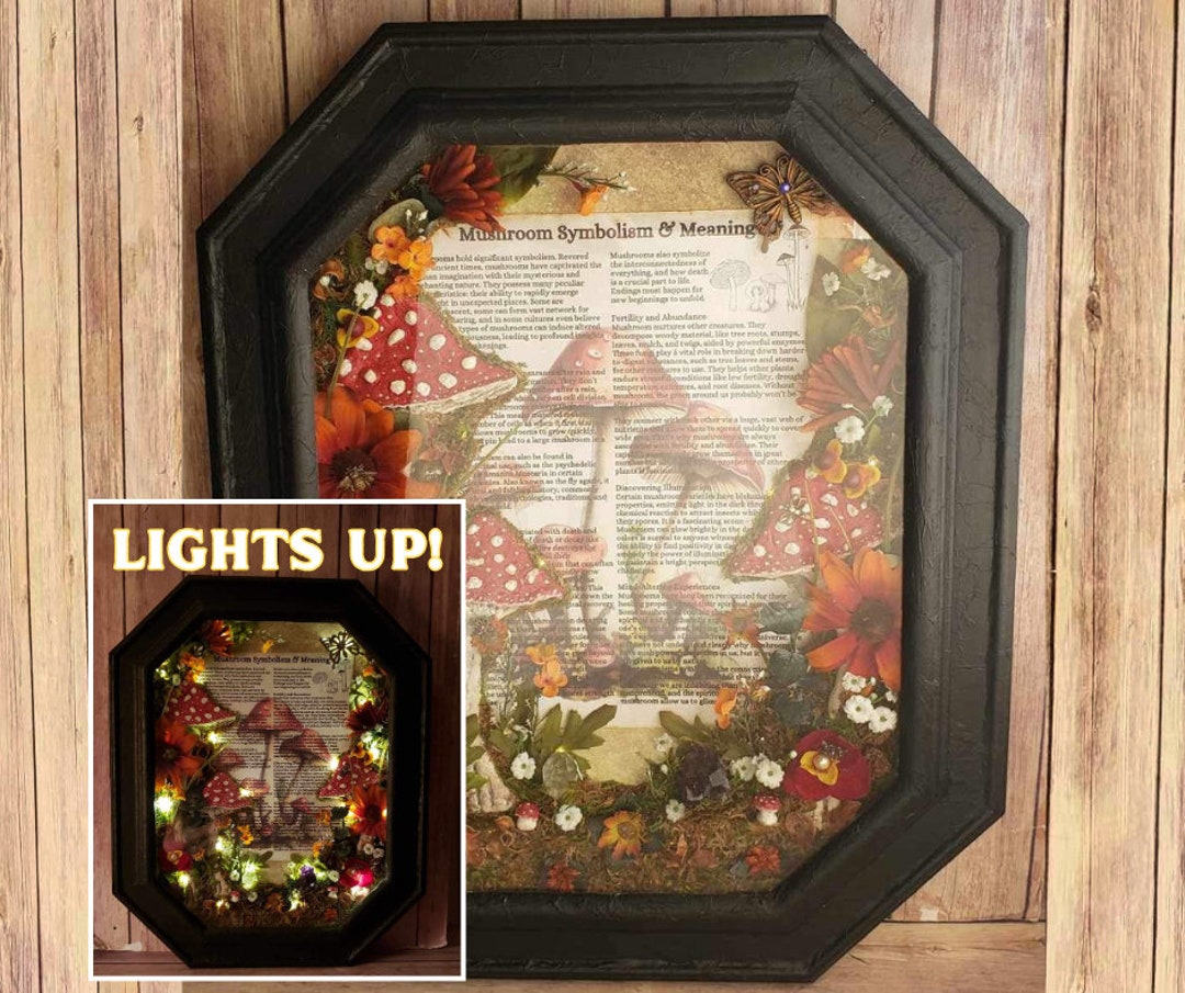 Illuminated Mushroom Shadow Box Mixed Media Gallery Wall Decor Art ...
