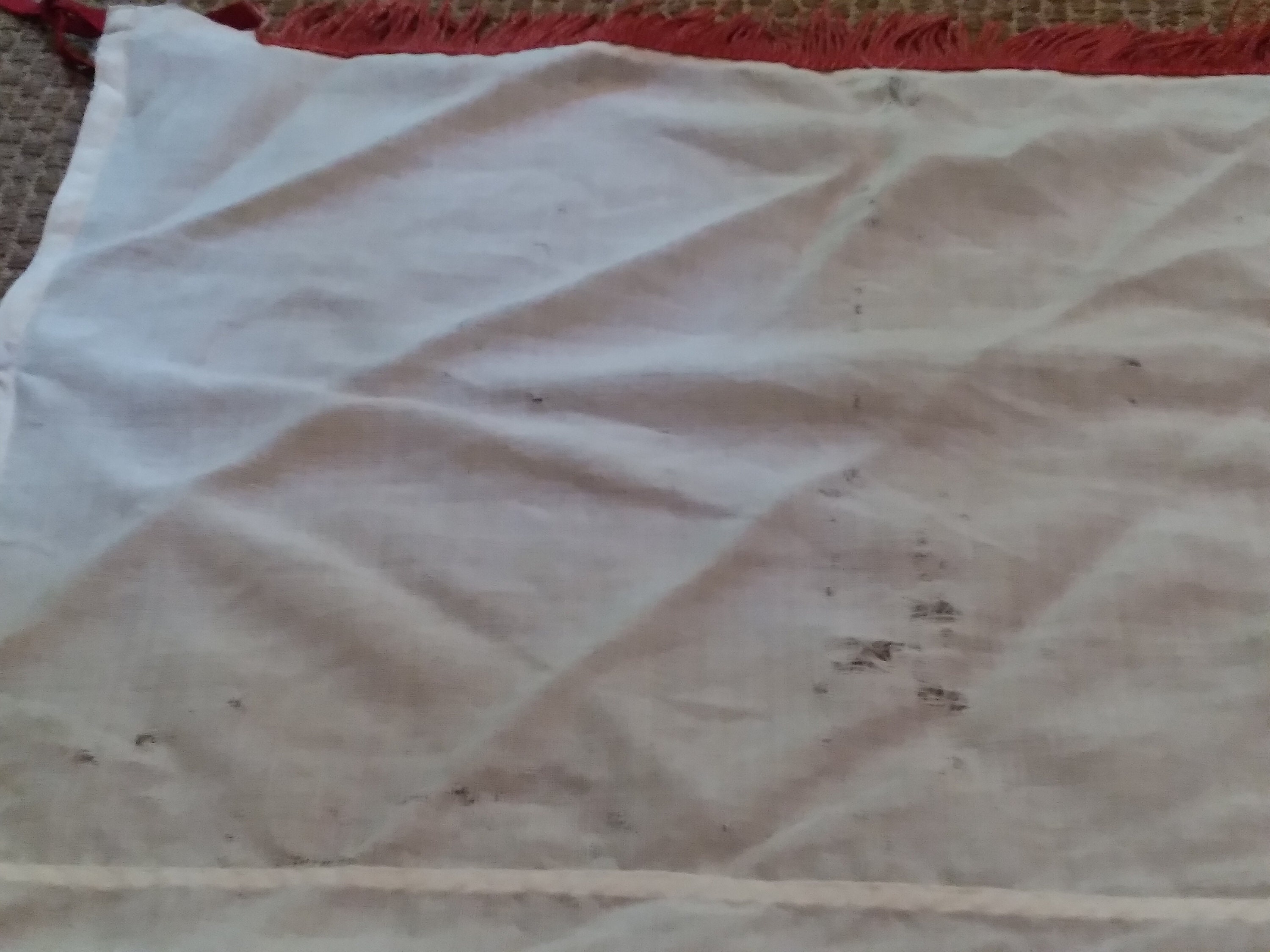 I.O.O.F Odd Fellows Flag Nebraska 1800's Authentic Original - Etsy