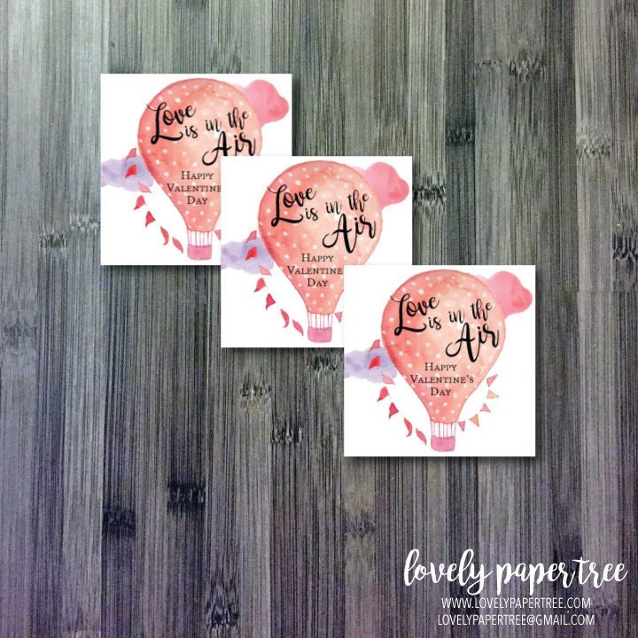 Love is in the Air Valentine's Day Air Balloon Valentine's Day Gift ...