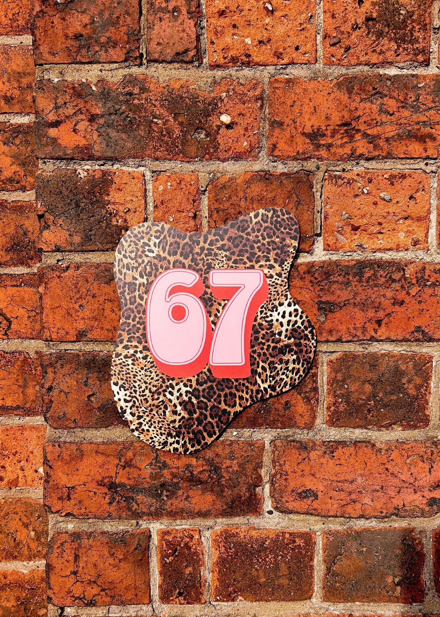 Leopard Print Blob House Number Sign - Custom - Etsy