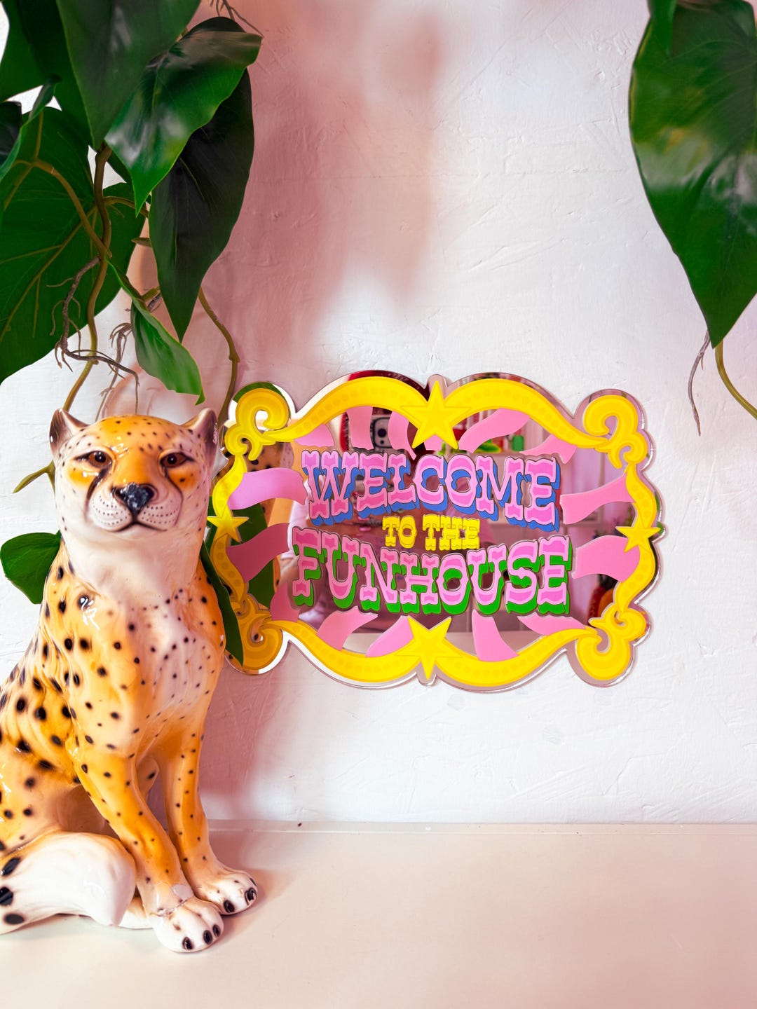 The Funky Funhouse Mirror - Etsy