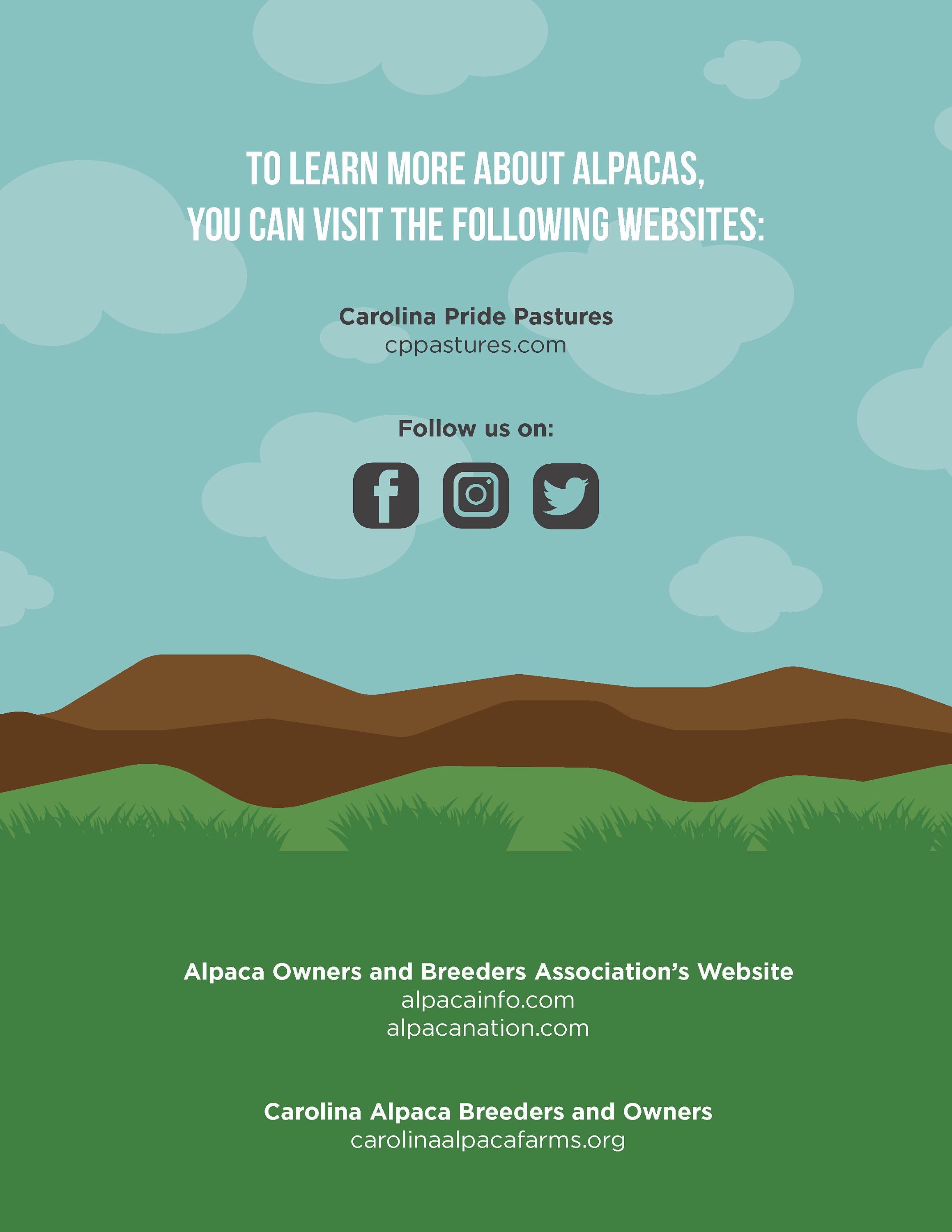 Alpaca Activity Coloring - Coloring Books for Kids - Animal Coloring ...