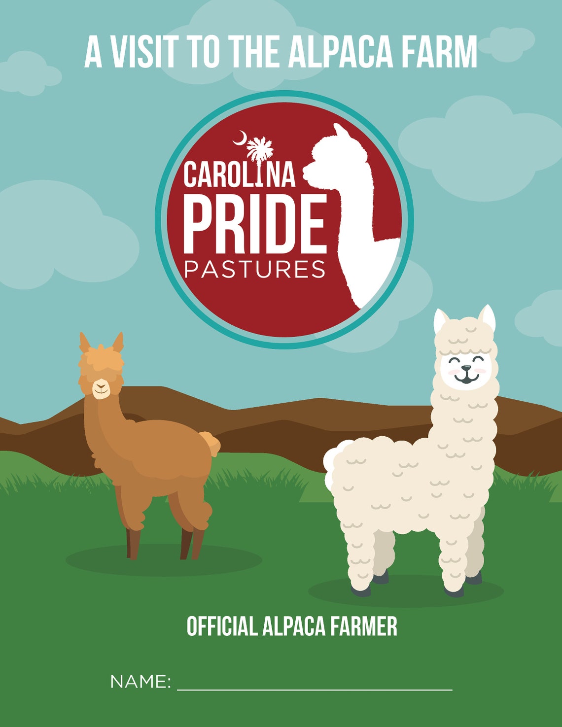 Alpaca Activity Coloring - Coloring Books for Kids - Animal Coloring ...