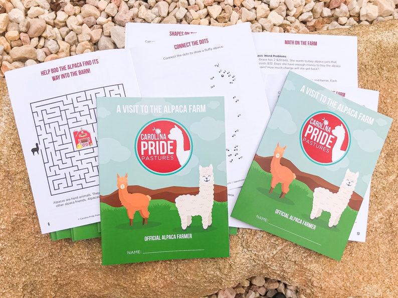 Alpaca Activity Coloring - Coloring Books for Kids - Animal Coloring ...