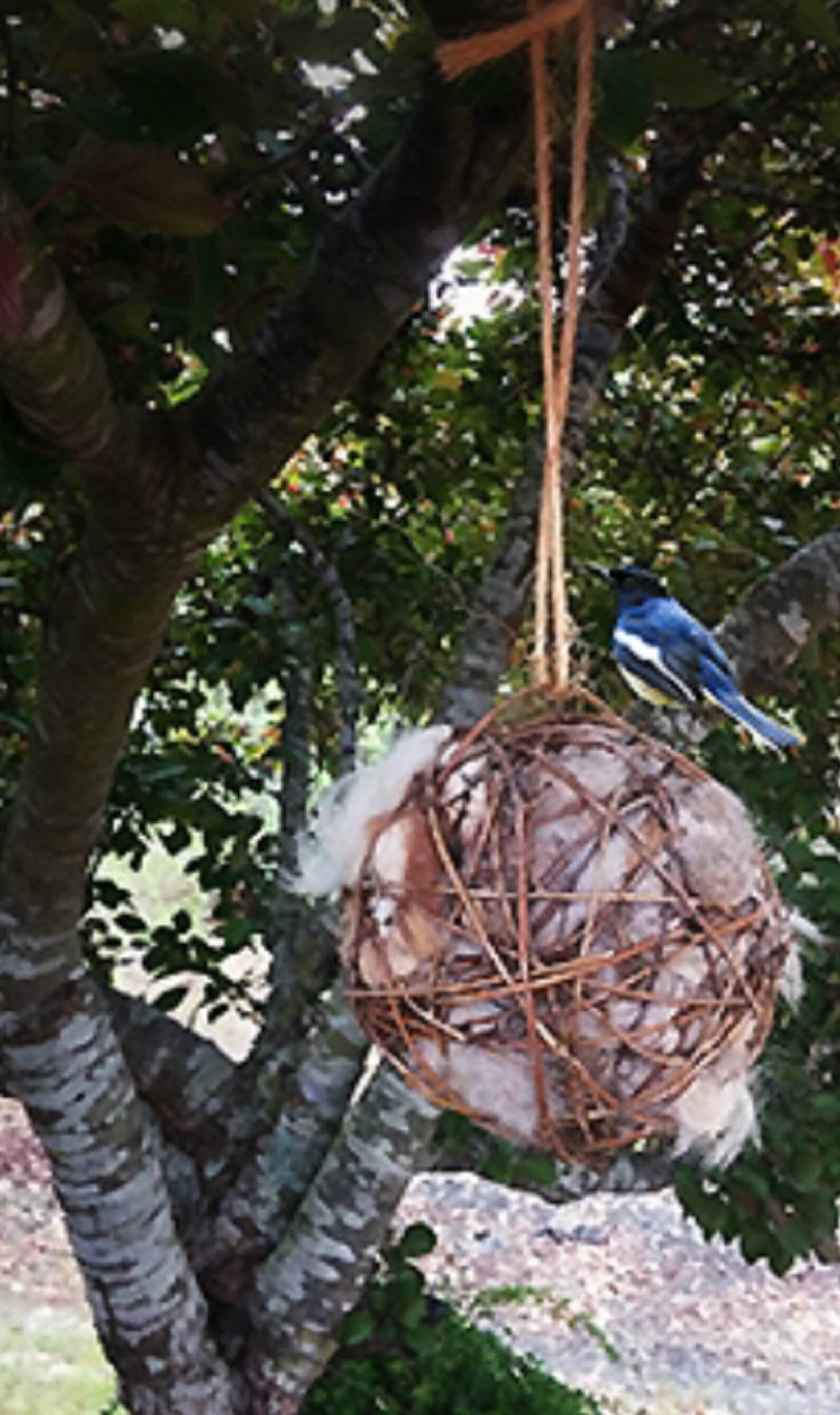 Alpaca Nesting Balls -handmade in the USA - Hummingbird Nesting Houses ...