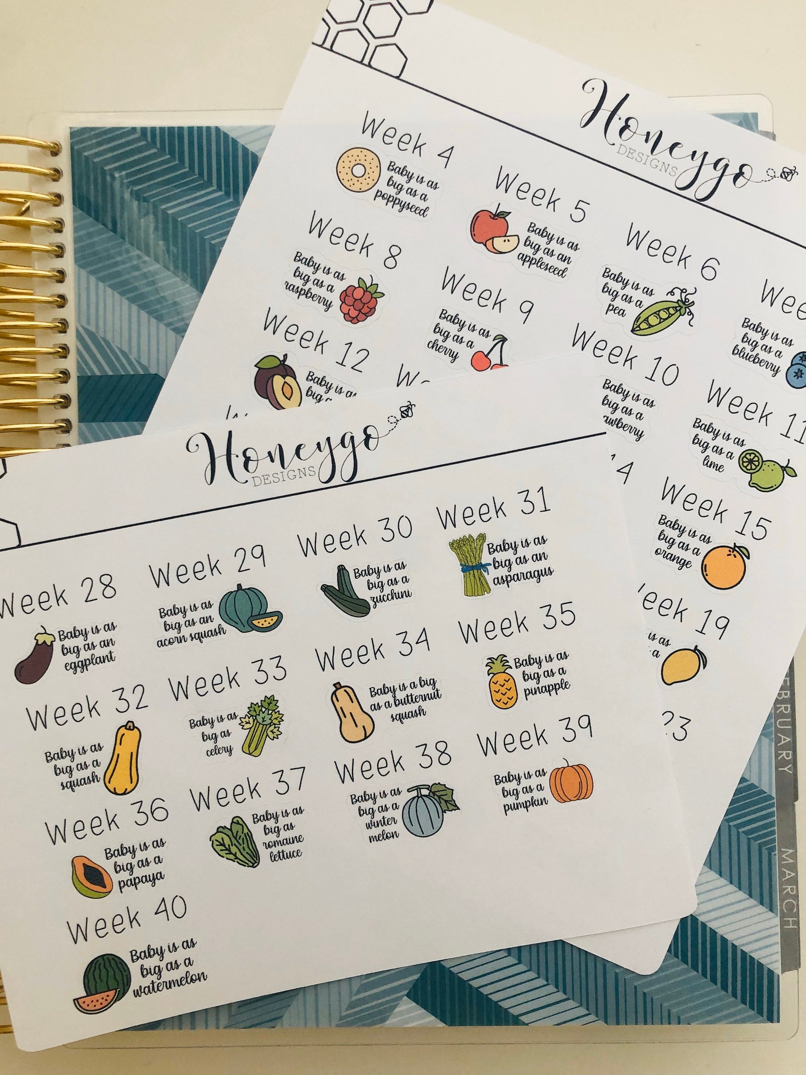 Pregnancy Tracker Stickers: Baby Size by Week Planner Stickers - Etsy