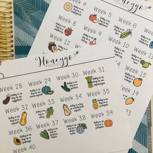 Pregnancy Tracker Stickers Weeks of Pregnancy Baby is as | Etsy