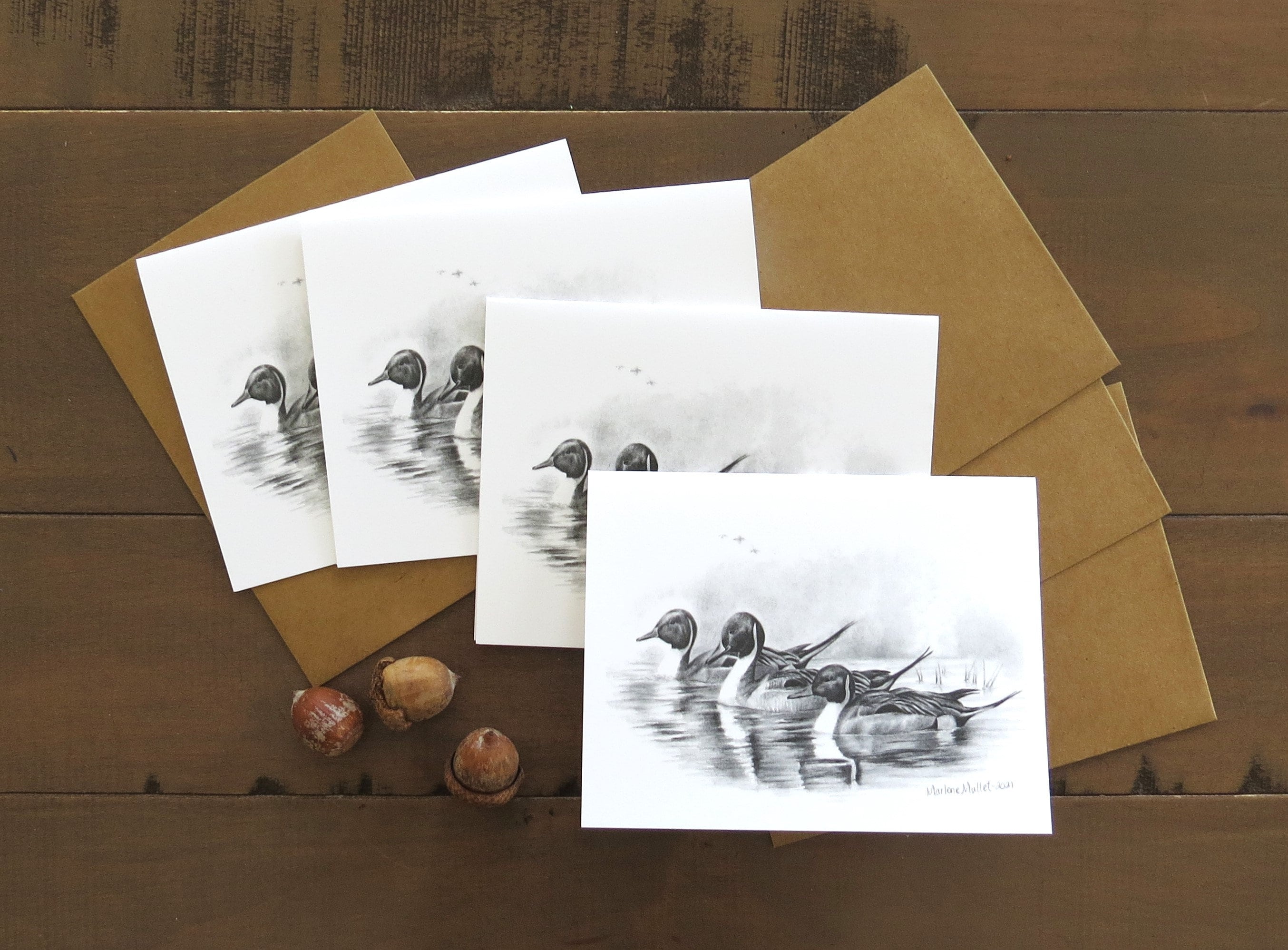 Pintail Duck Note Card Set, Pintail Art, Bird Art Card, Duck Art Card ...