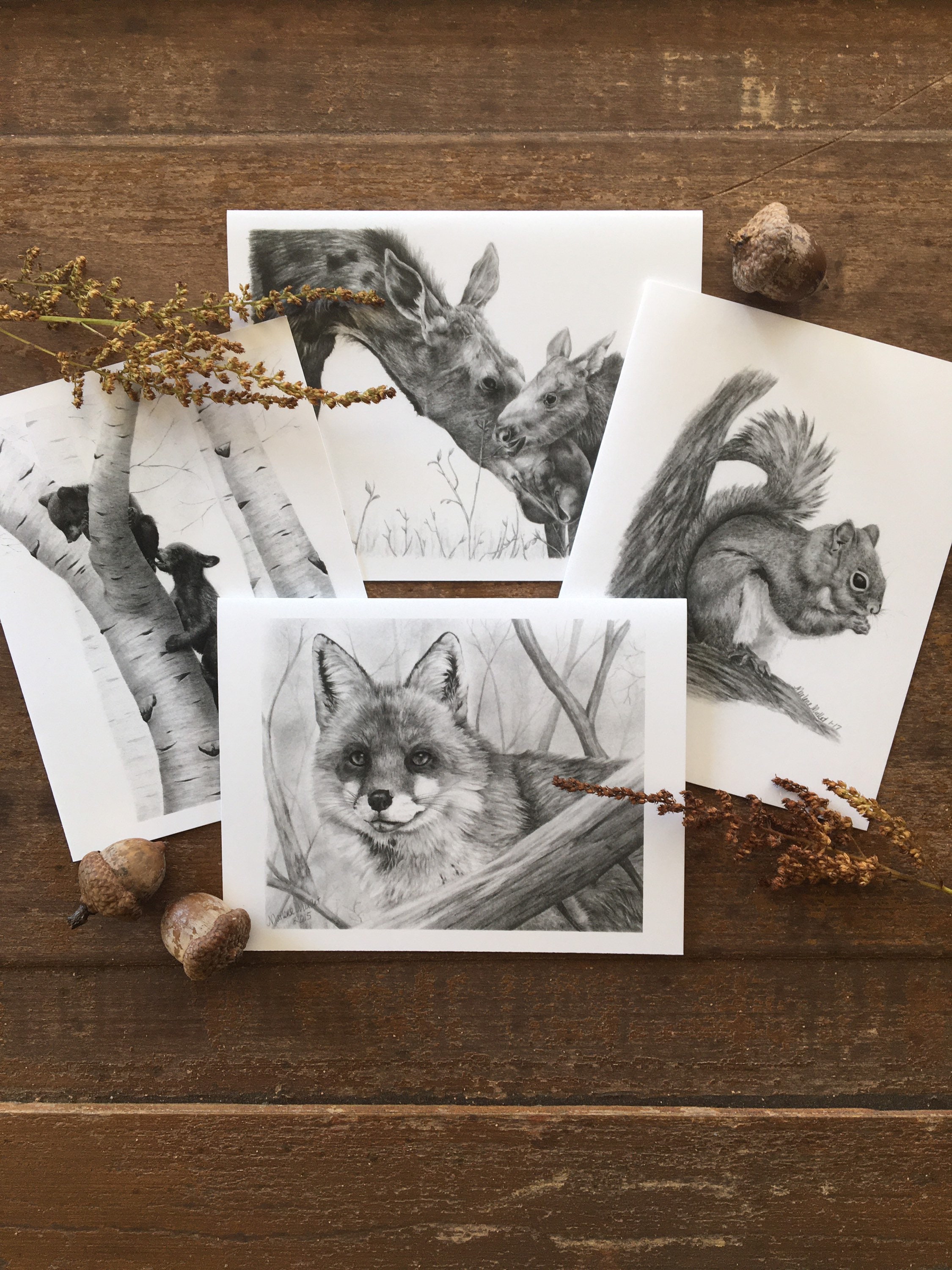 Forest Animals Note Card Set, Animal Card Sets for Kids, Wildlife Art ...