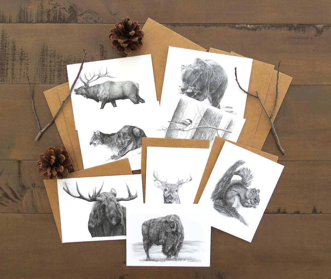 North American Wildlife Note Card Set, Nature Lover Stationary Cards ...