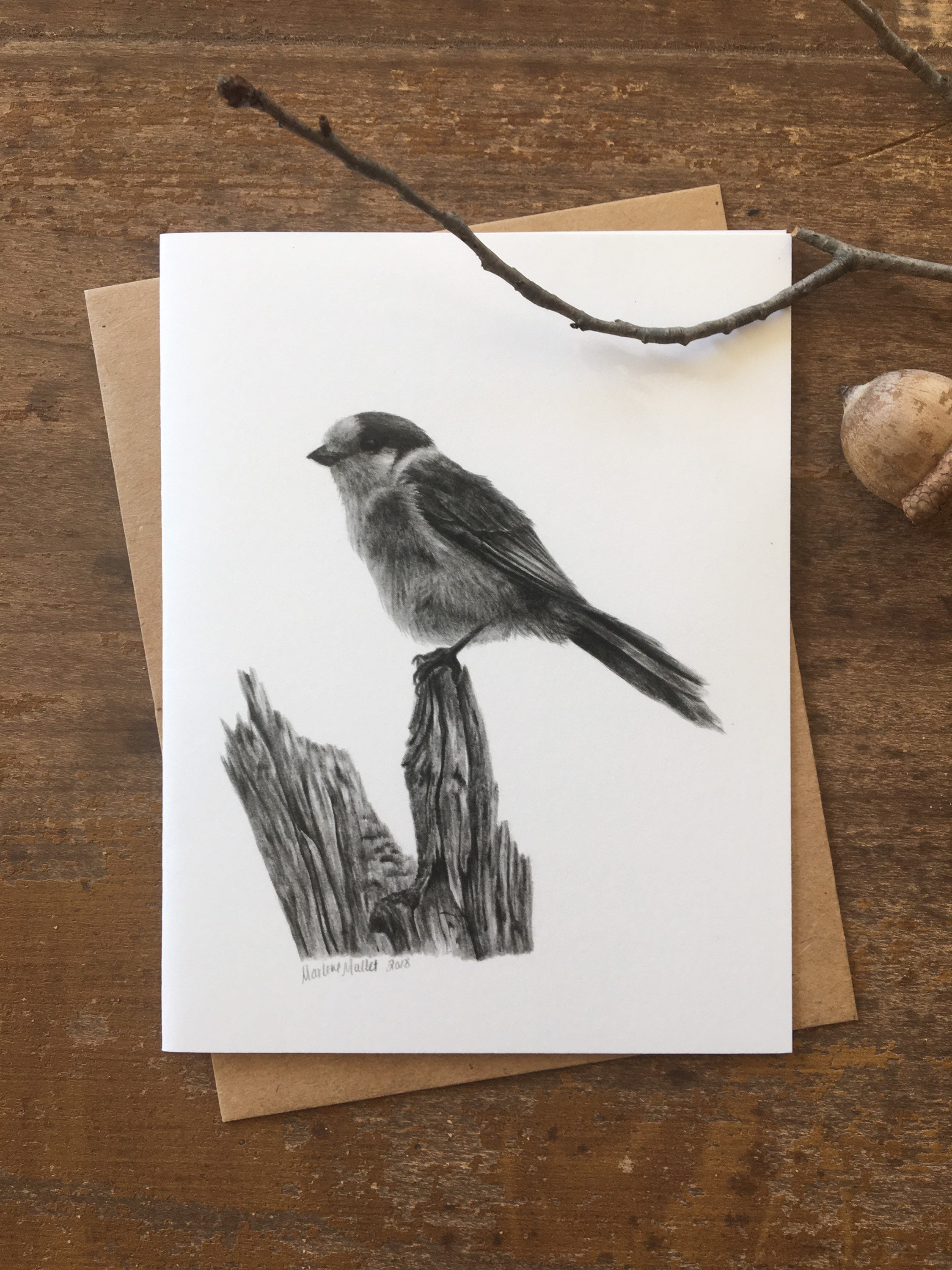 Bird Note Card Set, Bird Stationary Card, Wildlife Bird Card, Nature ...