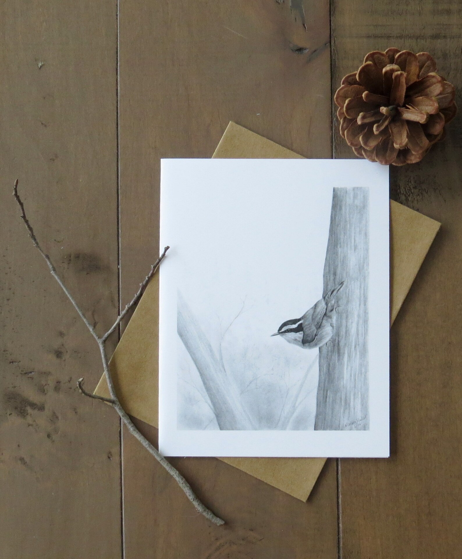 Song Bird Note Card Set, Set of 4 Cards, Wildlife Stationary Art, Black ...