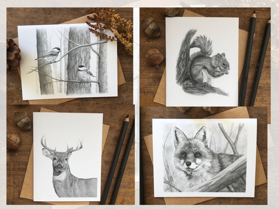 Woodland Animal Note Card Set Wildlife Art Cards Cards for - Etsy