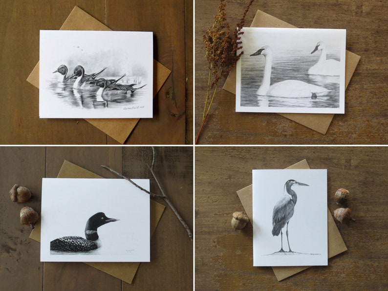 Waterfowl Note Card Set, Bird Art Cards, Waterfowl Art, Bird Lover ...
