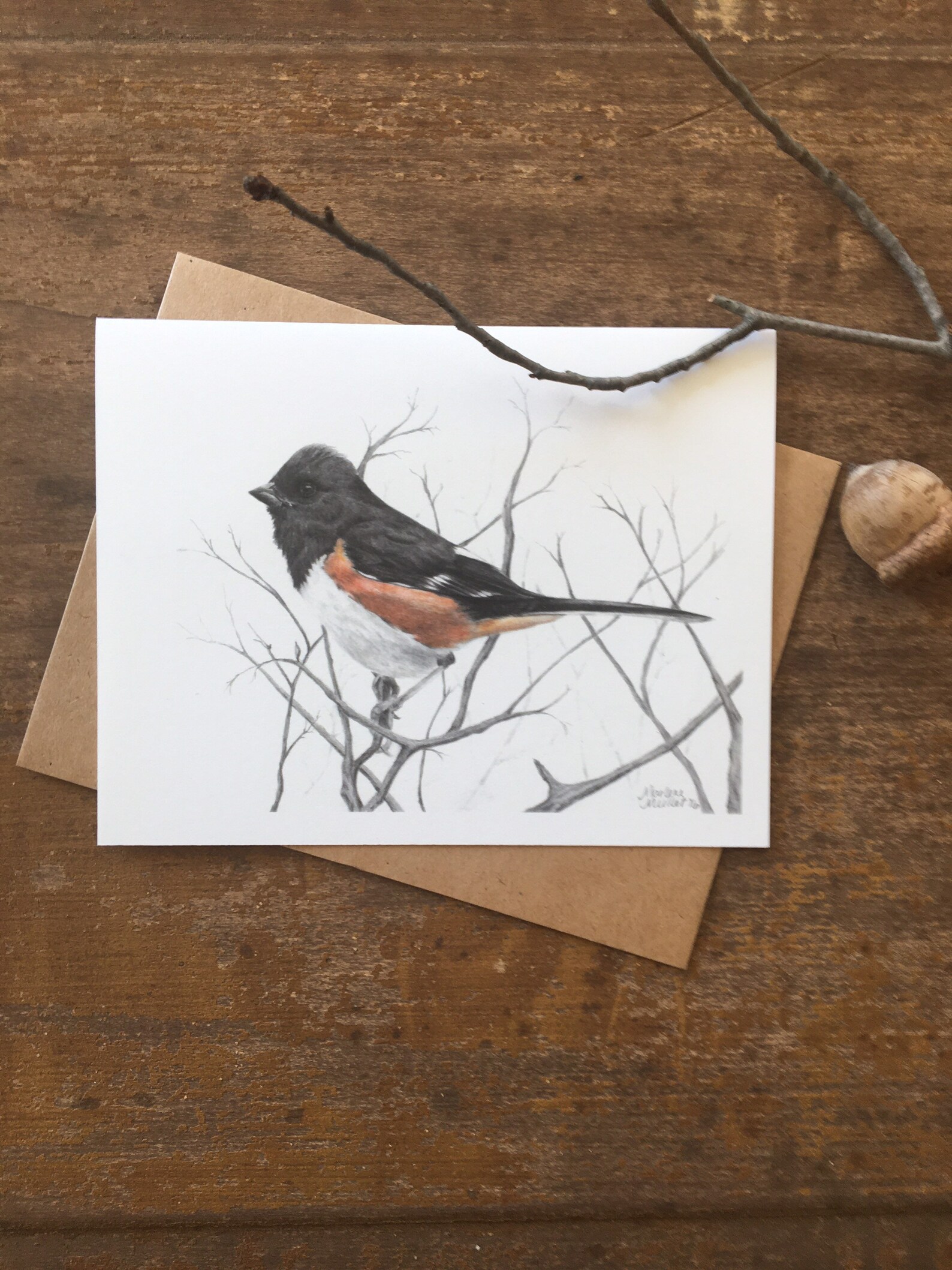 Song Bird Note Card Set, Set of 4 Cards, Wildlife Stationary Art Card ...