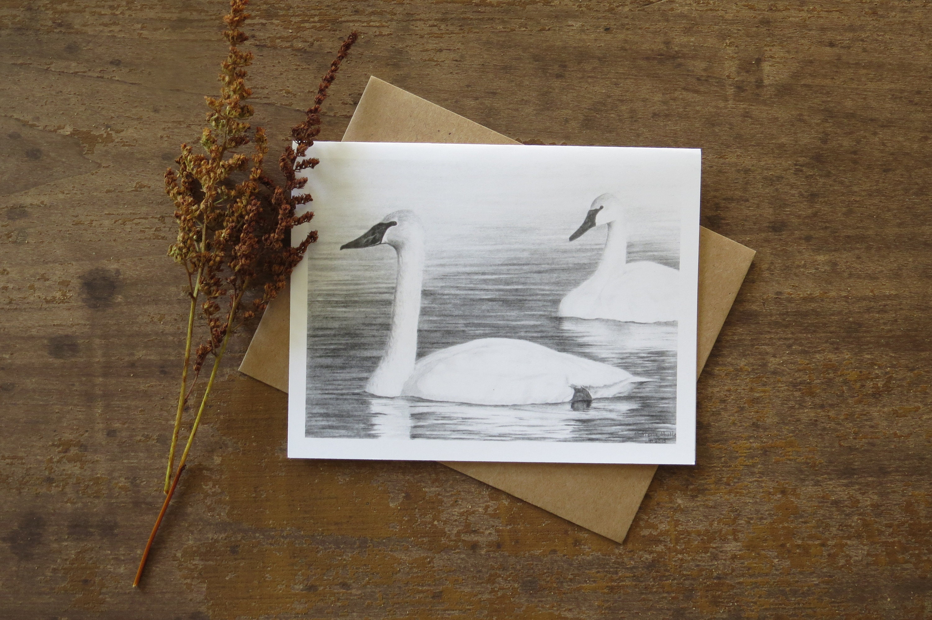 Waterfowl Note Card Set Bird Art Cards Waterfowl Art Bird - Etsy