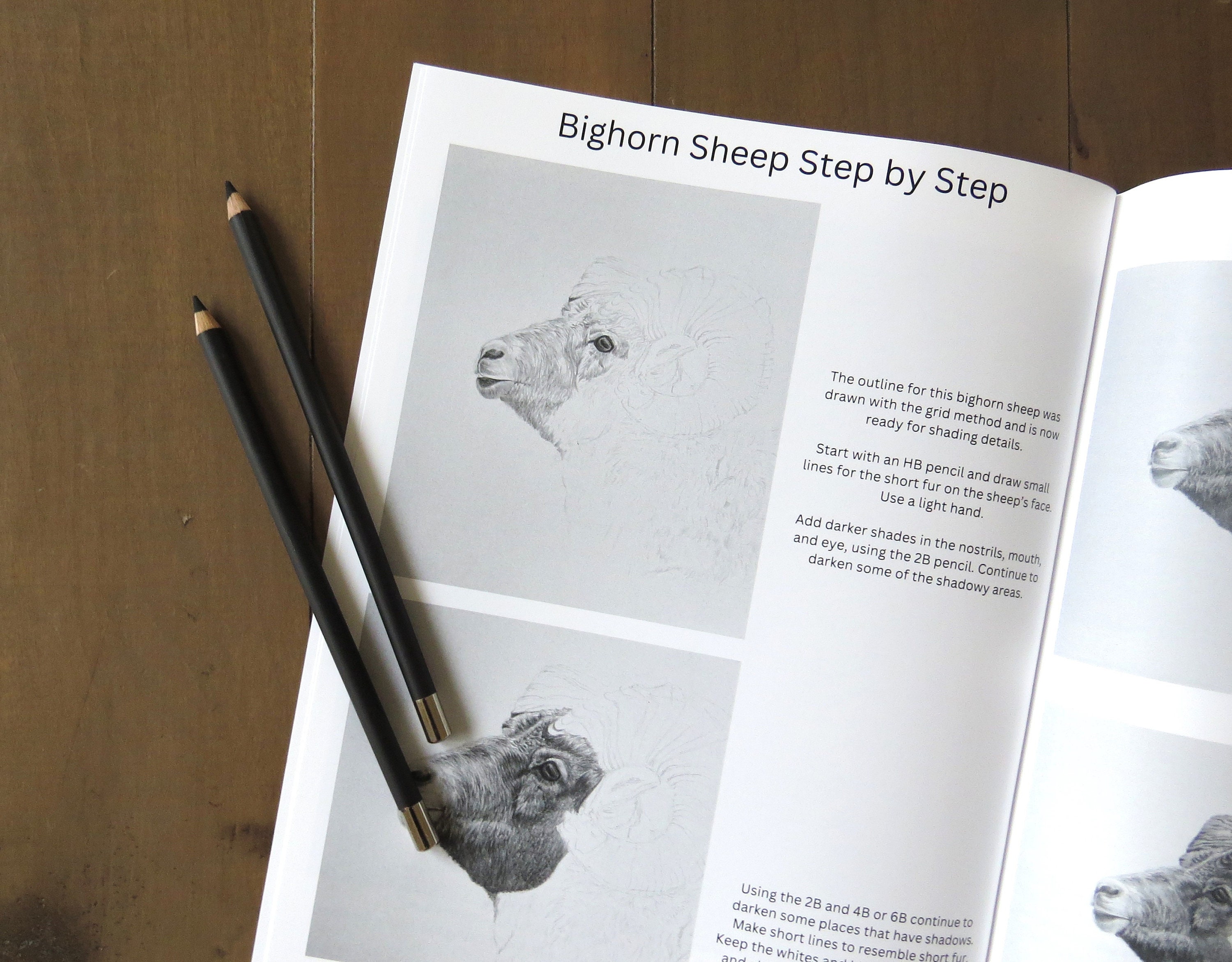 Pencil Drawing Booklet, Gift for Pencil Artist, Realistic Drawing Guide ...