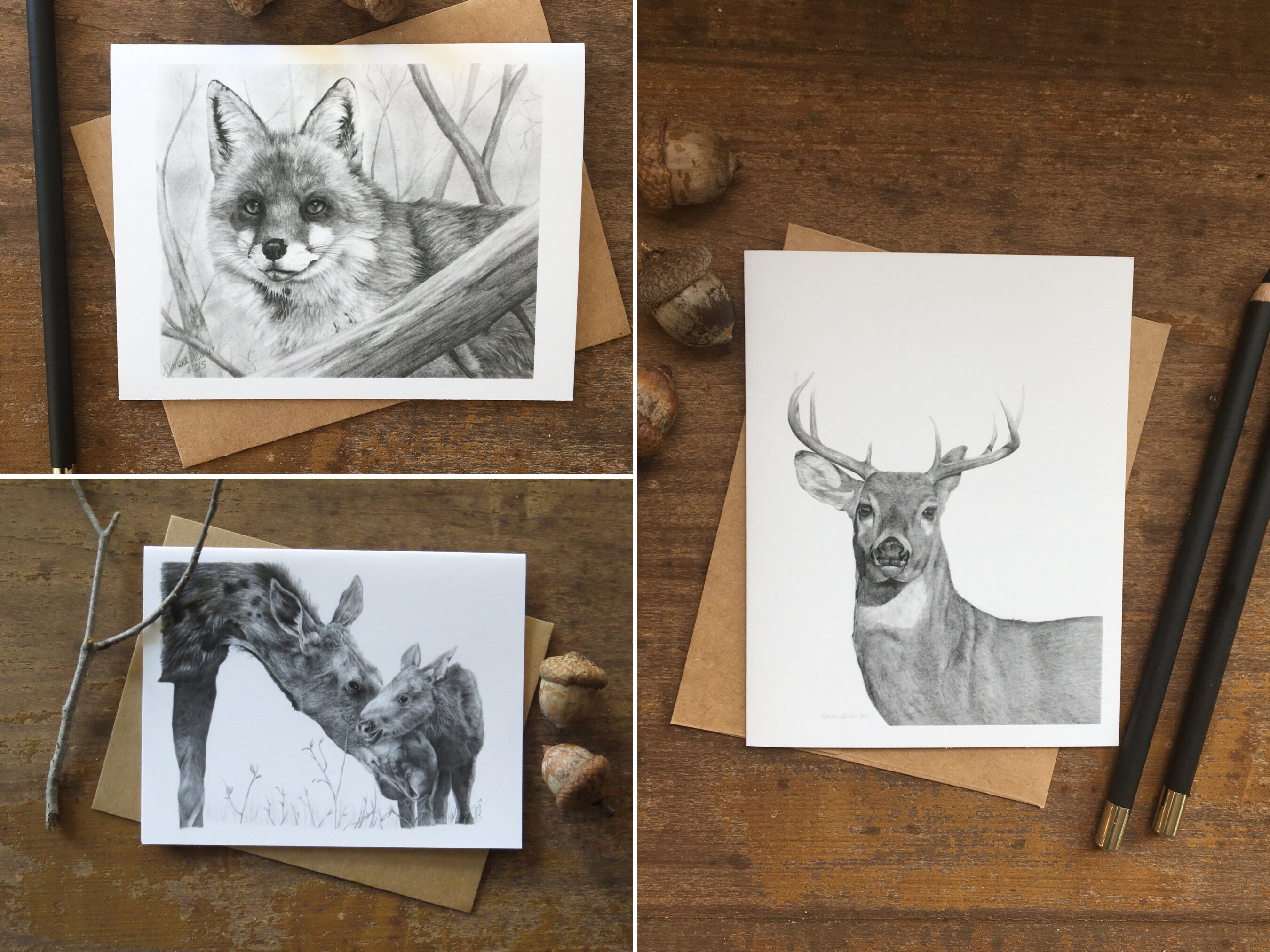 Wildlife Note Cards, Set of 6 Cards, Nature Writer Gifts, Animal ...