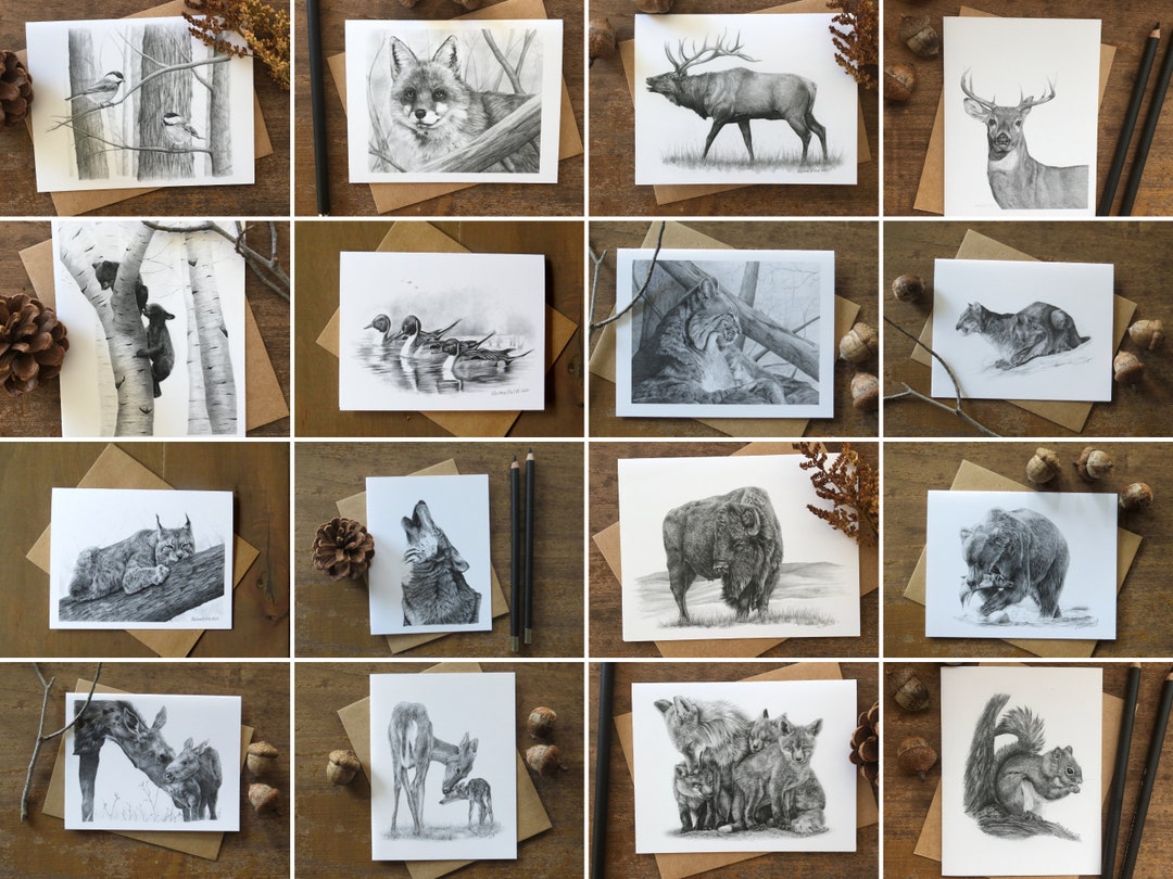 Wildlife Note Cards, Set of 6 Cards, Nature Writer Gifts, Animal ...