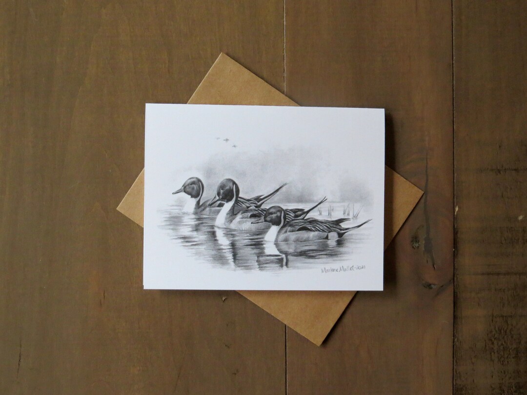 Pintail Duck Note Card Pintail Art Bird Art Card Duck Art - Etsy