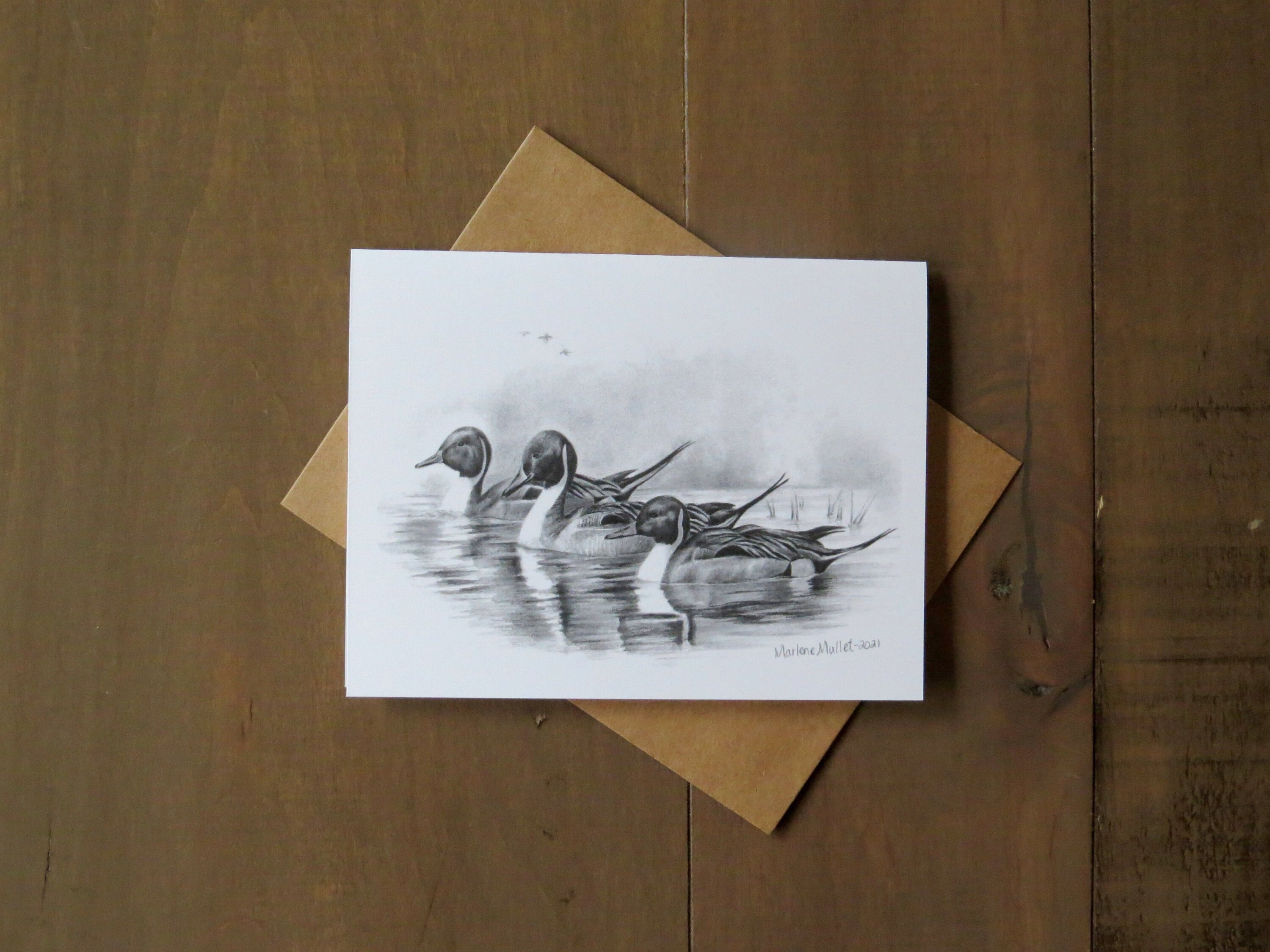 Pintail Duck Note Card Set, Pintail Art, Bird Art Card, Duck Art Card ...