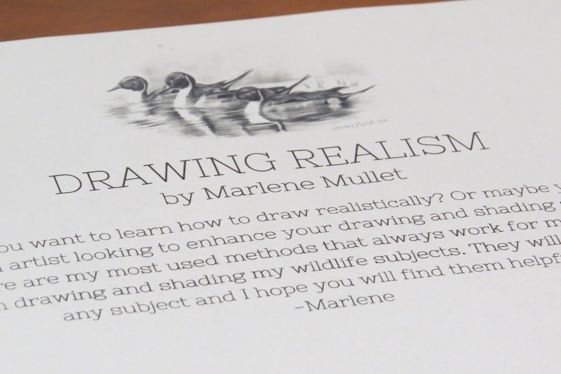 How to Draw, Drawing Tips, Drawing Wildlife, Drawing Plan, Drawing ...