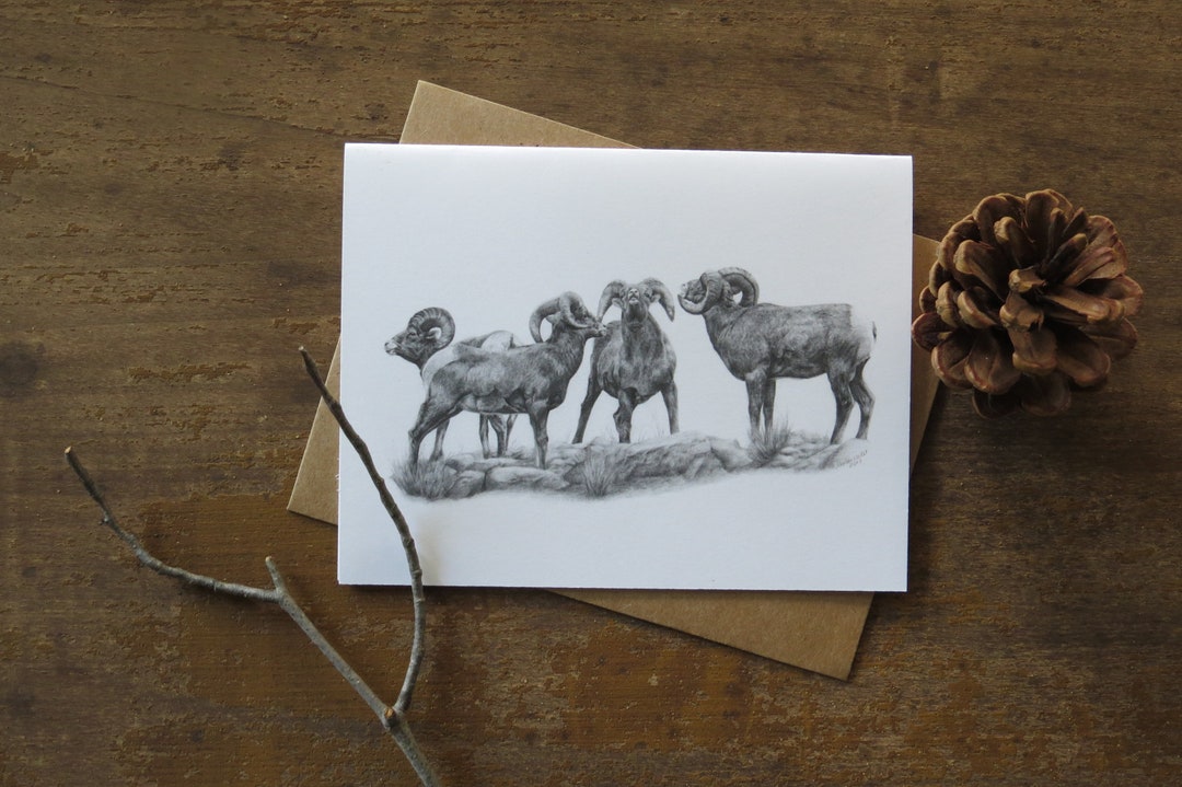 Bighorn Sheep Note Card, Wildlife Art Card, Black and White Note Card ...