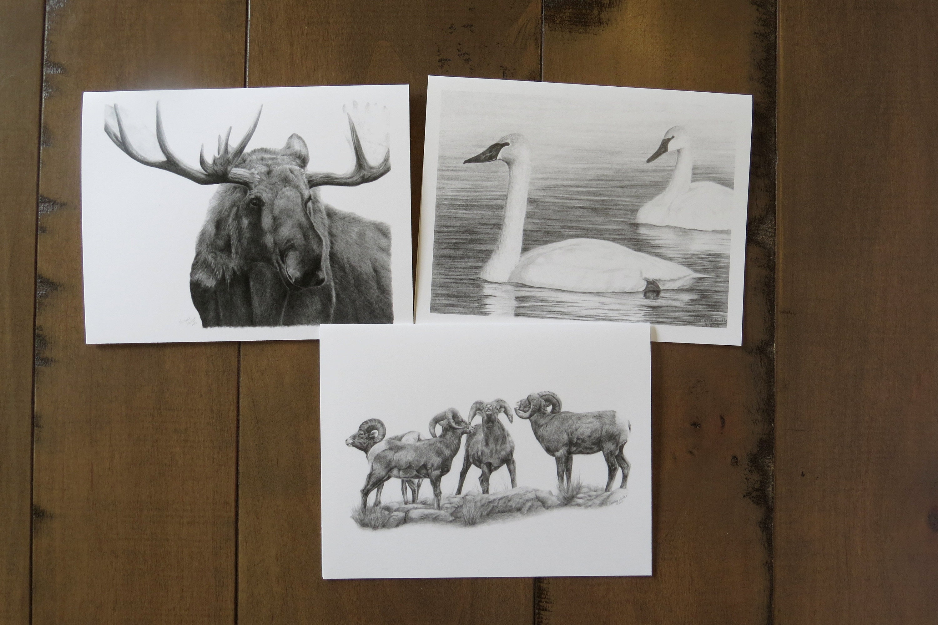 Custom Wildlife Note Cards, Your Choice of 4 Note Cards, Wildlife Art ...