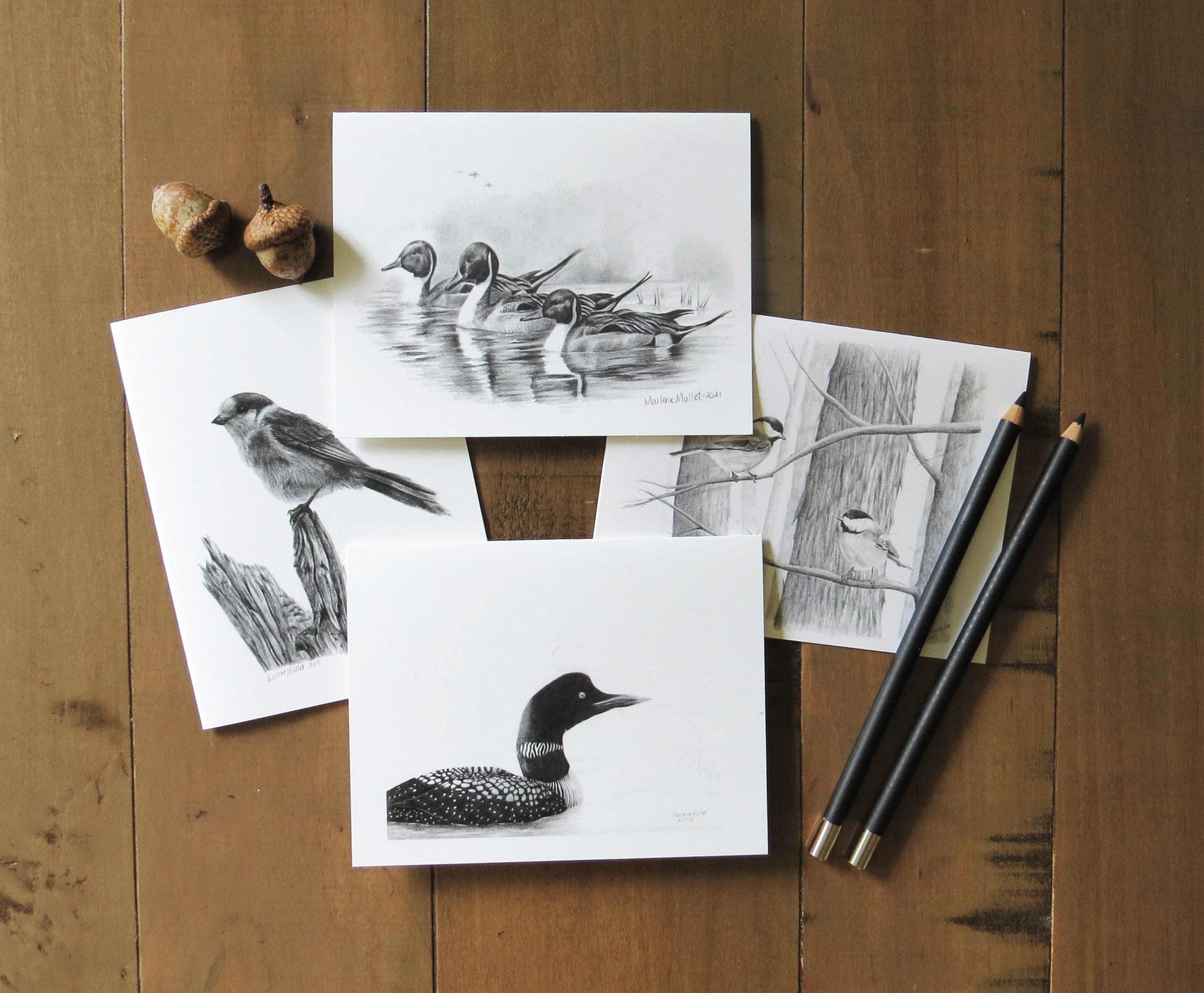 Bird Note Card Set, Bird Stationary Card, Wildlife Bird Card, Nature ...