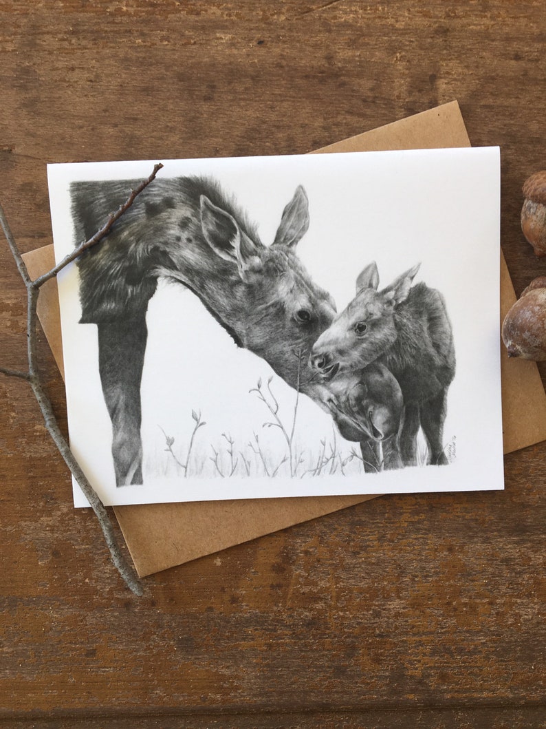 Baby Animal Note Card Set, Wildlife Note Card, Doe With Fawn Card ...