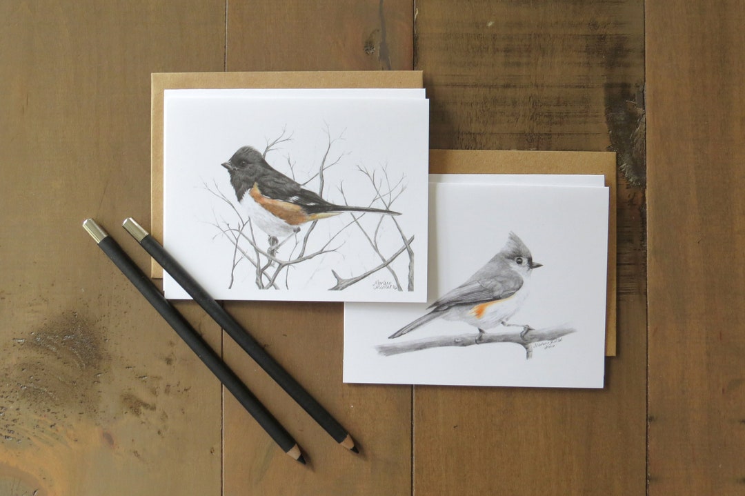 Set of 4 Bird Cards, Bird Card Set, Bird Note Cards, Wildlife Card ...