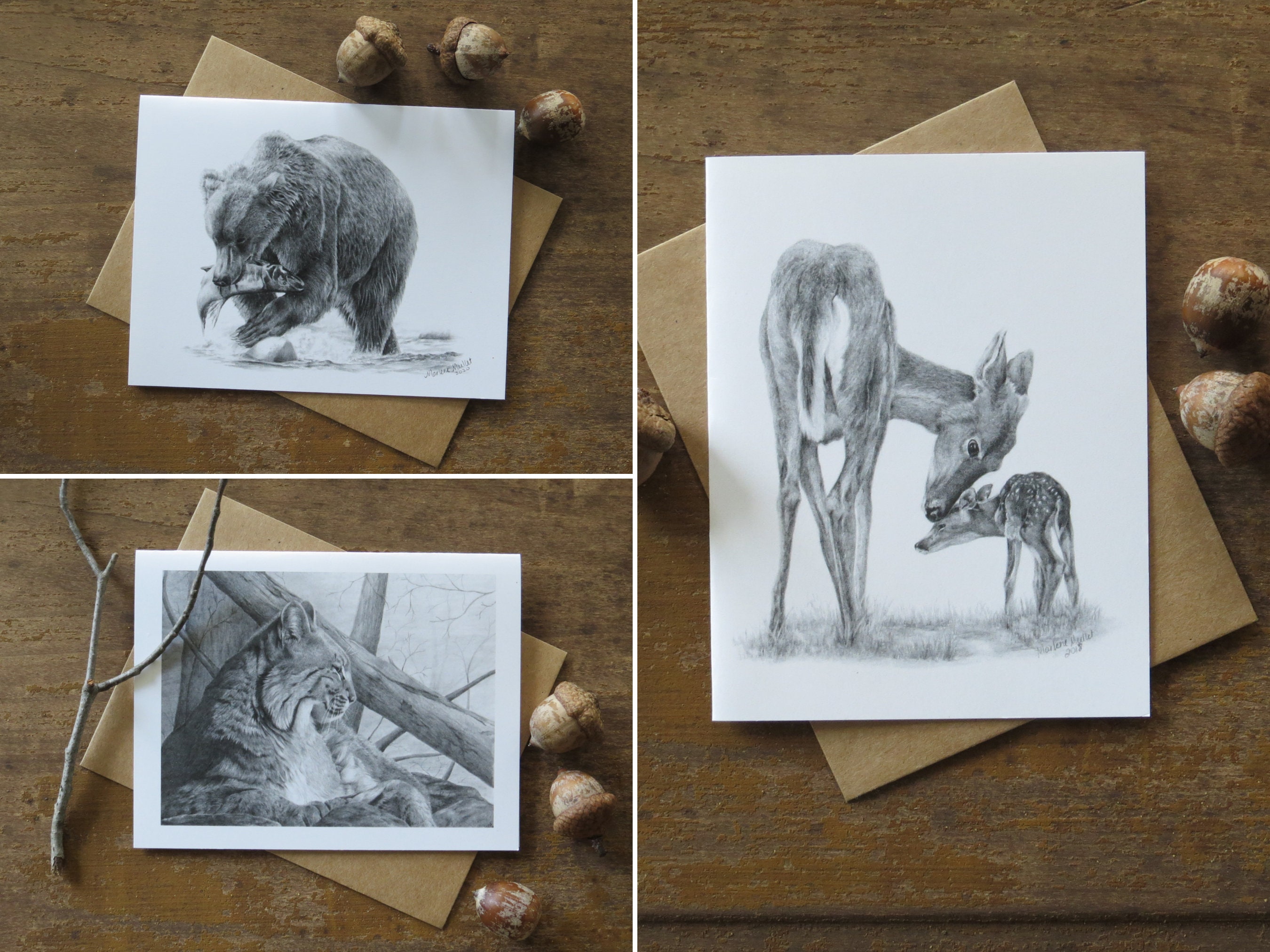 Wildlife Note Cards, Set of 6 Cards, Nature Writer Gifts, Animal ...