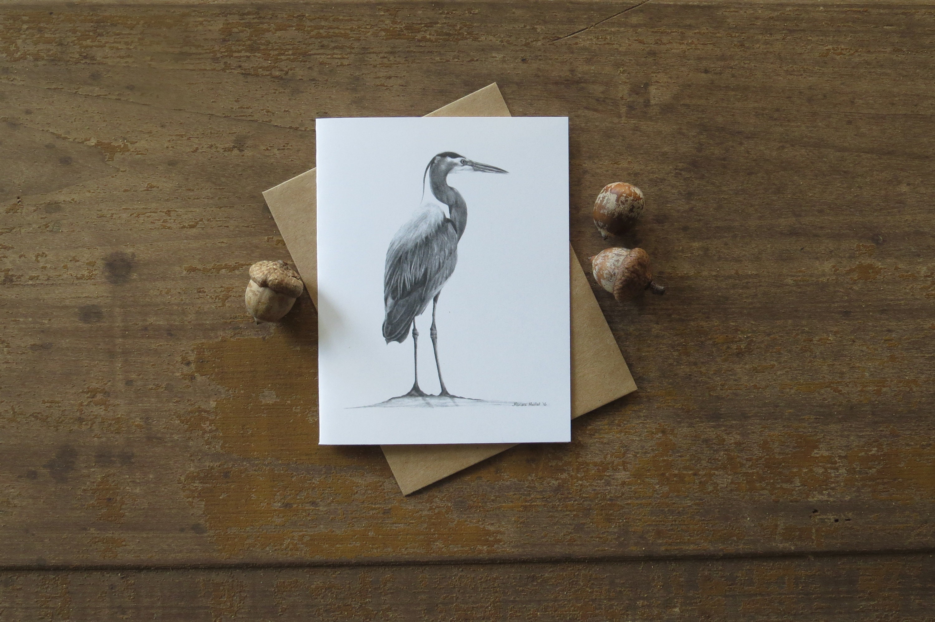 Heron Note Card Set, Wildlife Art Card, Bird Card, Heron Art, Great ...