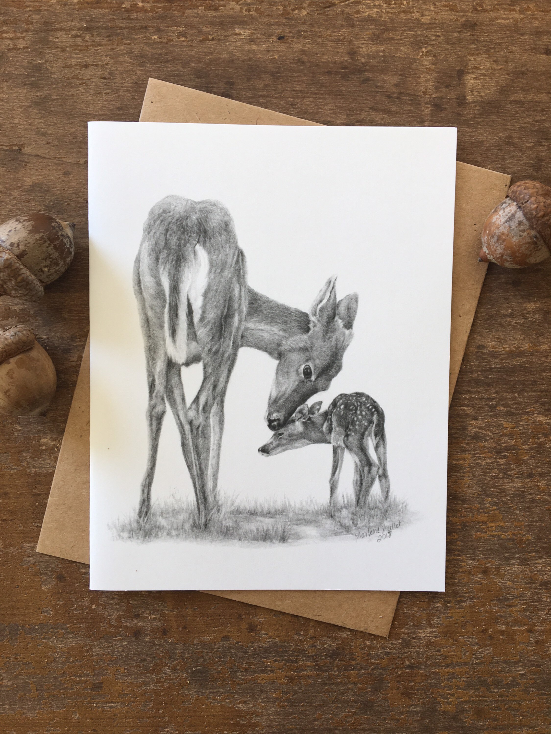 Baby Animal Note Card Set, Wildlife Note Card, Doe With Fawn Card ...