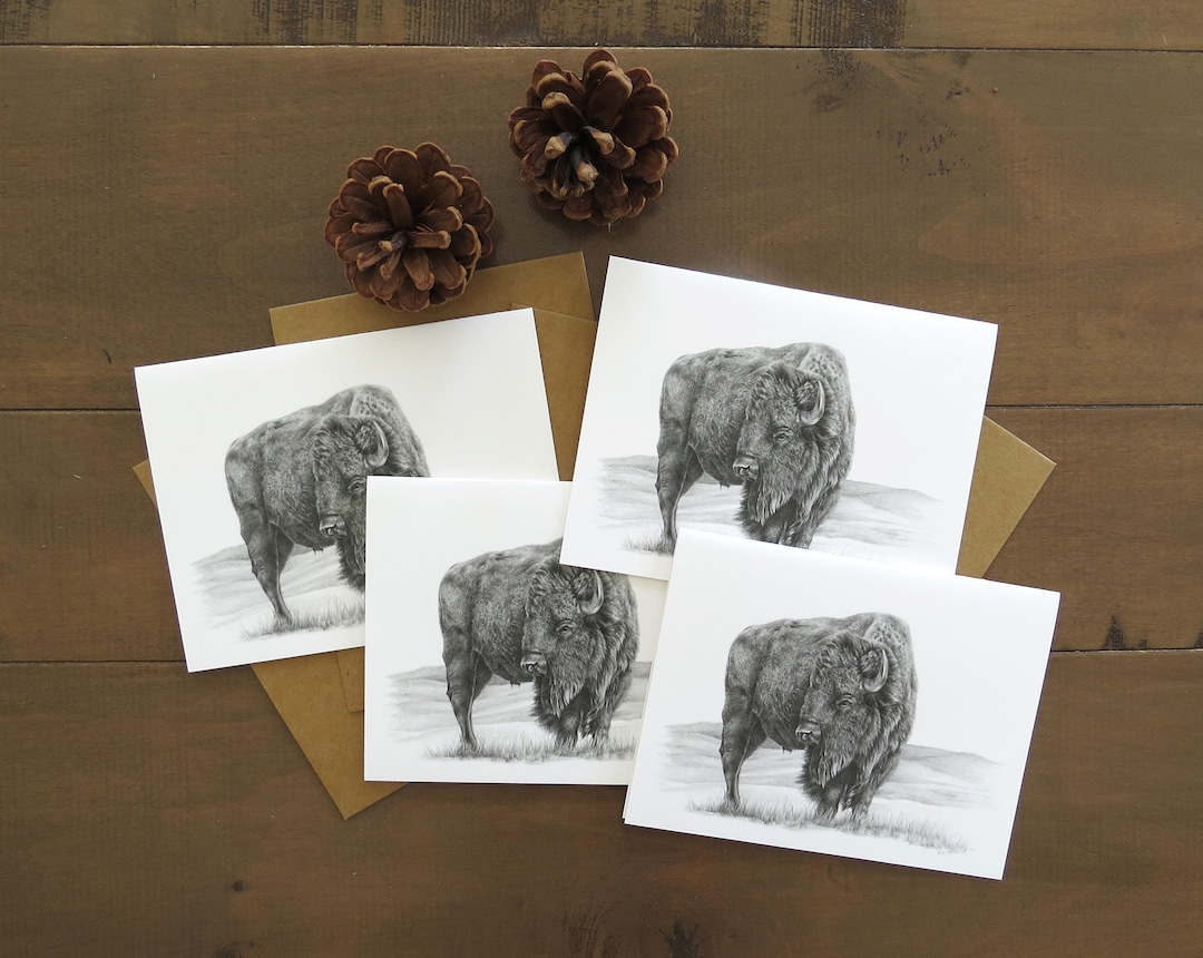 Bison Note Card Set , Wildlife Card, Bison Card, Buffalo Art, Buffalo ...