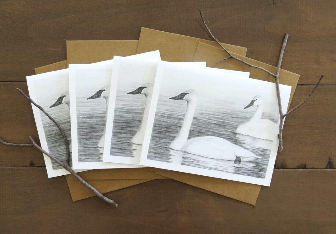 Swan Note Card Set, Swan Art, Wildlife Art Cards, Bird Cards, Nature ...