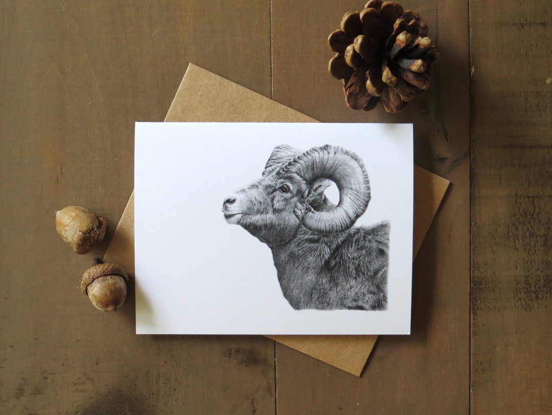 Bighorn Sheep Note Card, Wildlife Art Card, Hunter Card, Nature Note ...