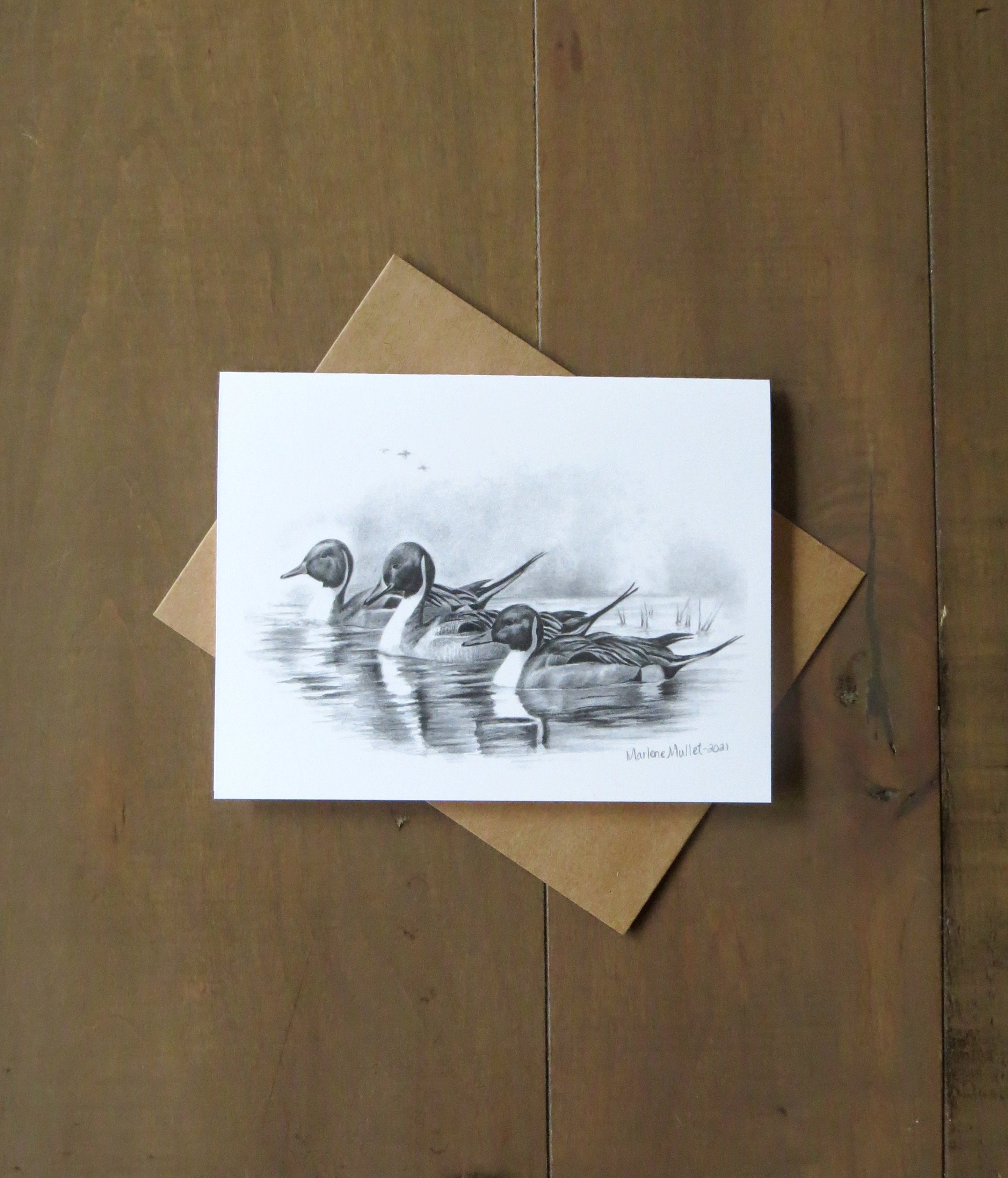 Pintail Duck Note Card Set, Pintail Art, Bird Art Card, Duck Art Card ...