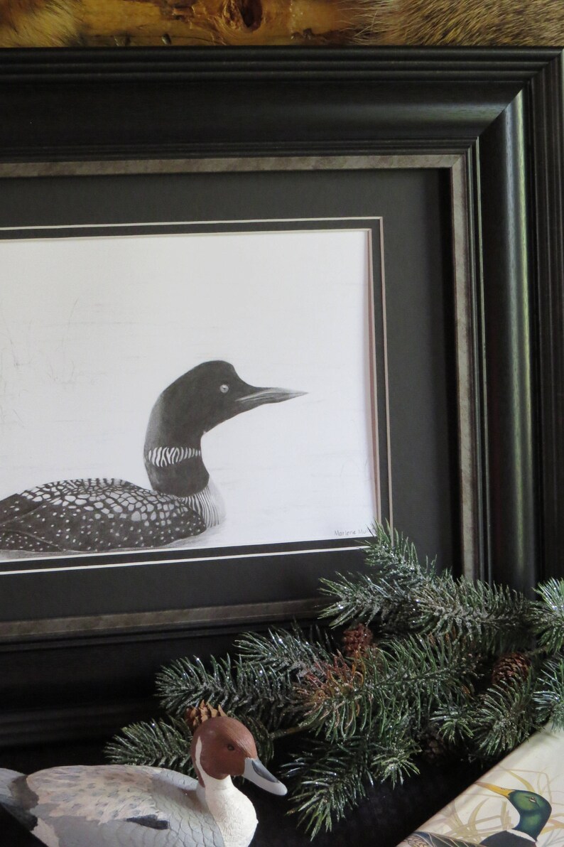 Loon Art Print, Wildlife Wall Art, Bird Pencil Drawing, Common Loon ...